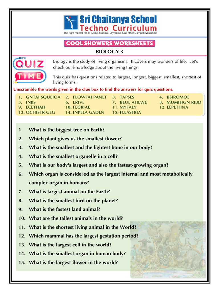 Biology Cool Showers Worksheet 3 | PDF