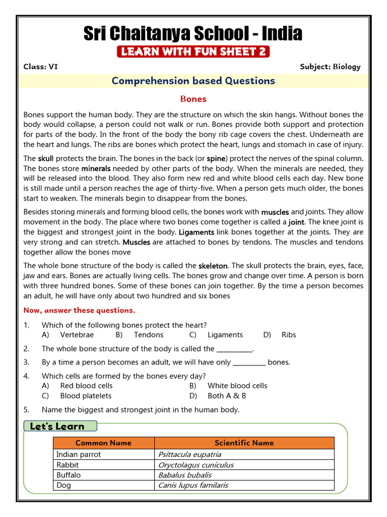 Comprehension Based Questions Class 6 | PDF | Hypothesis | Experiment