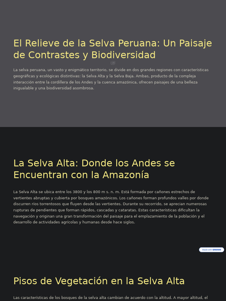 El-Relieve-de-la-Selva-Peruana-Un-Paisaje-de-Contrastes-y-Biodiversidad ...