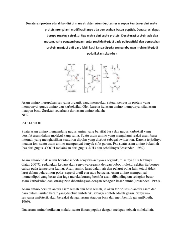 Denaturasi Protein Adalah Kondisi Di Mana Struktur Sekunder | PDF