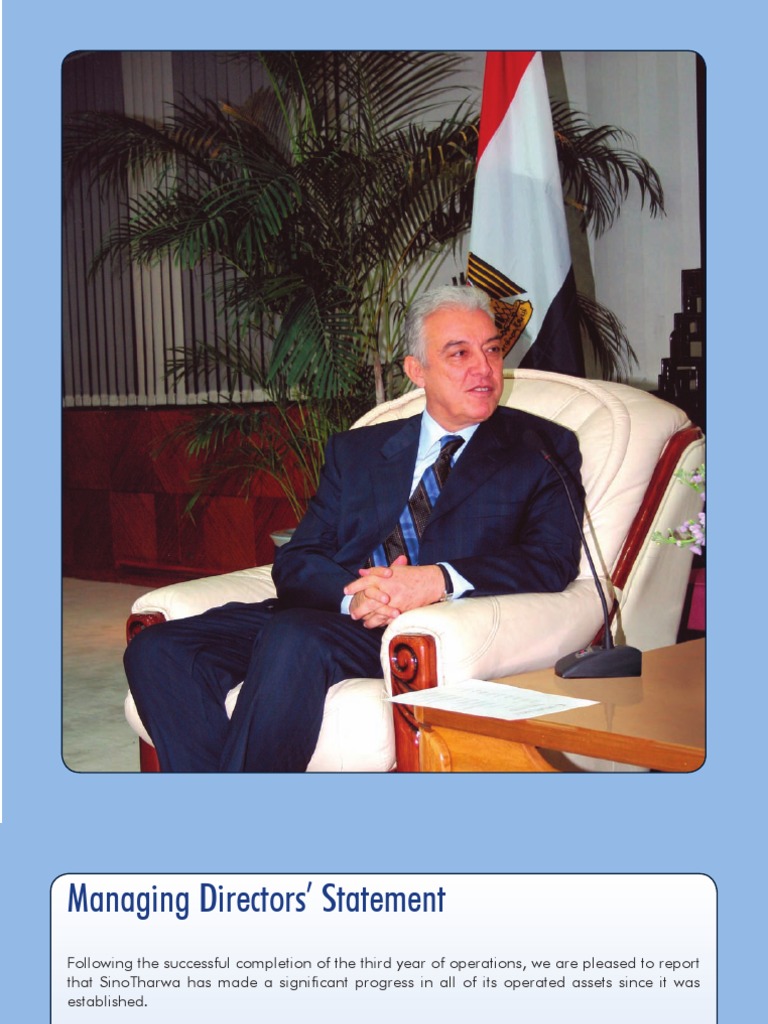 SinoTharwa's Annual Report 08 - English | PDF | Debits And Credits ...