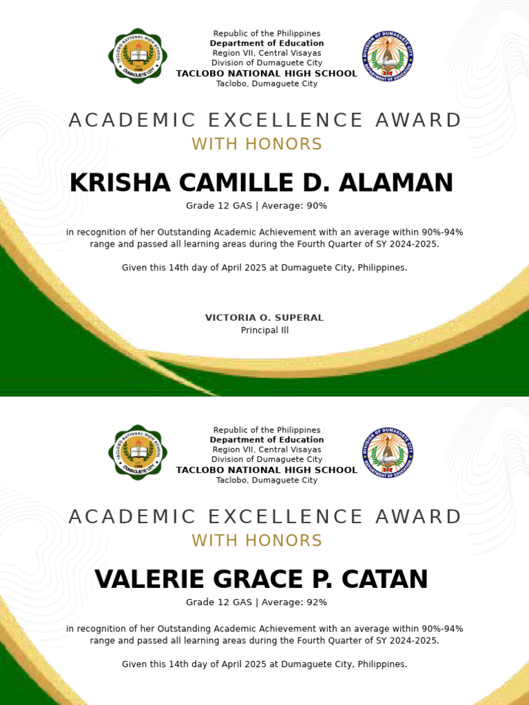 Academic Excellence Awards 2025 | PDF | Government Related ...