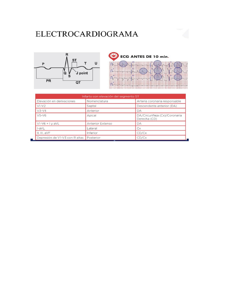 Cardio Ecg | PDF | Fisiología Cardiovascular | Electrofisiología cardíaca