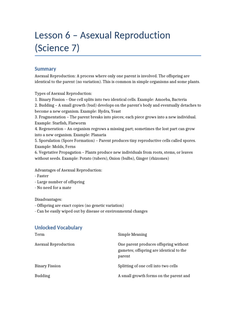 Lesson6 Summary and Vocabulary | PDF