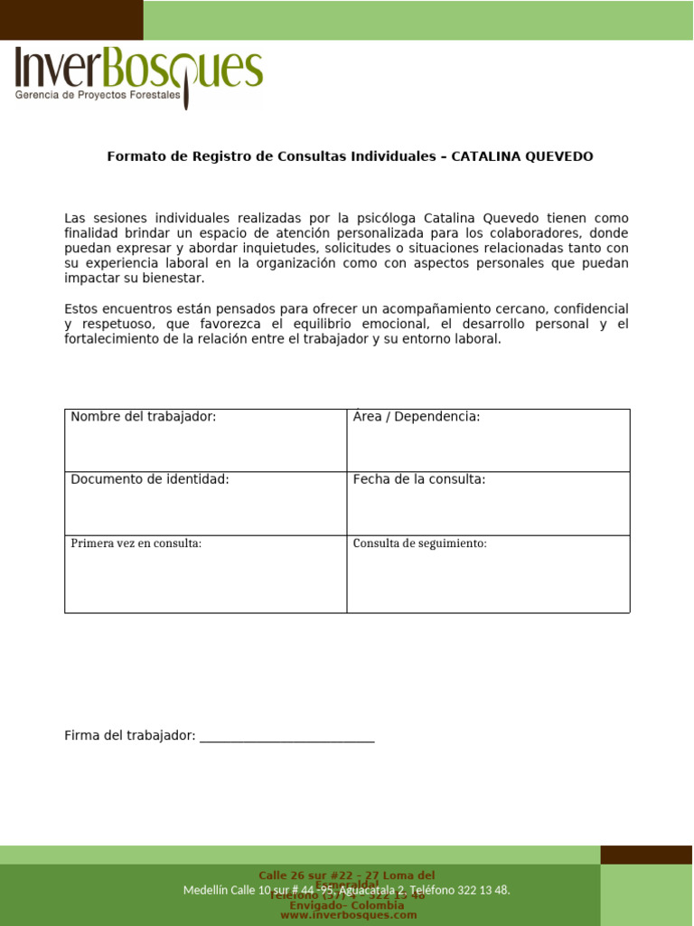 Formato de Consultas Individuales | PDF