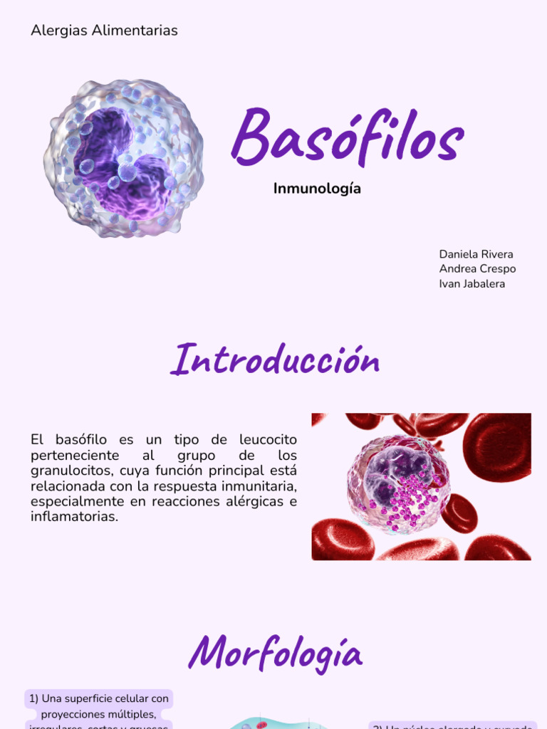 Funciones y morfología de basófilos | PDF | Inflamación | Sistema inmune