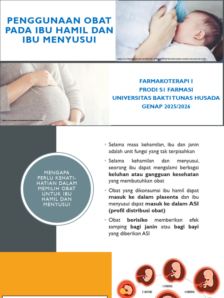Penggunaan Obat Pada Kondisi Ibu Hamil & Menyusui | PDF