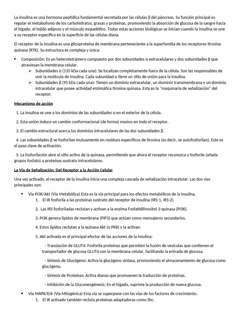 Mecanismo y Función del Receptor de Insulina | PDF | Receptor ...