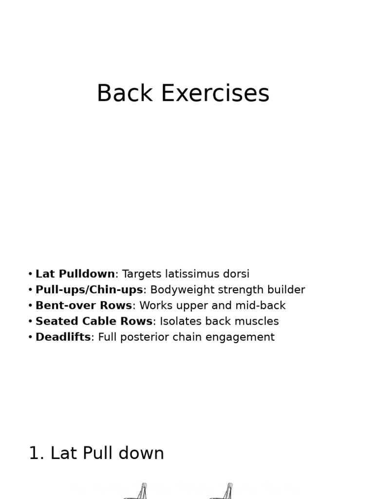 Back Exercises | PDF