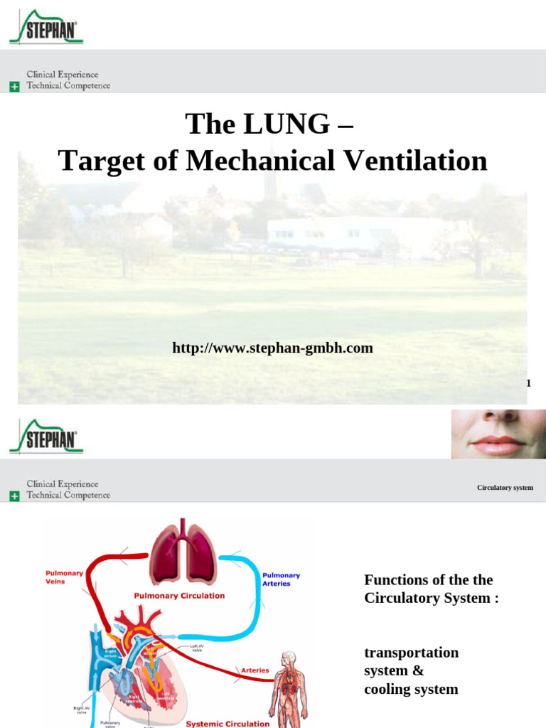 The Lung-Target of Mechanical Ventilation - 2016 | PDF | Respiratory ...