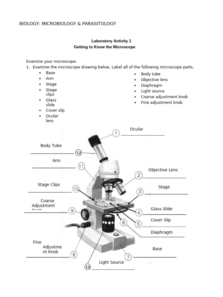 MicroPara Lab Activities | PDF | Optical Devices | Laboratory Equipment