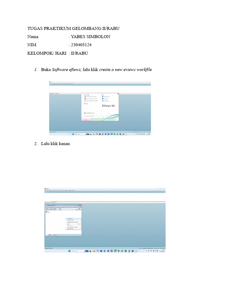 Panduan Praktikum Eviews Gelombang II | PDF