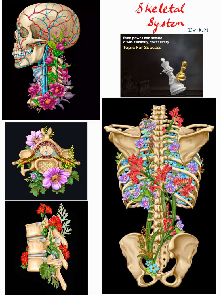Skeletal System Class 11 | PDF