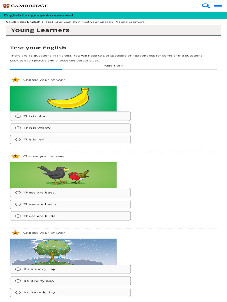 Test Your English - Young Learners | PDF