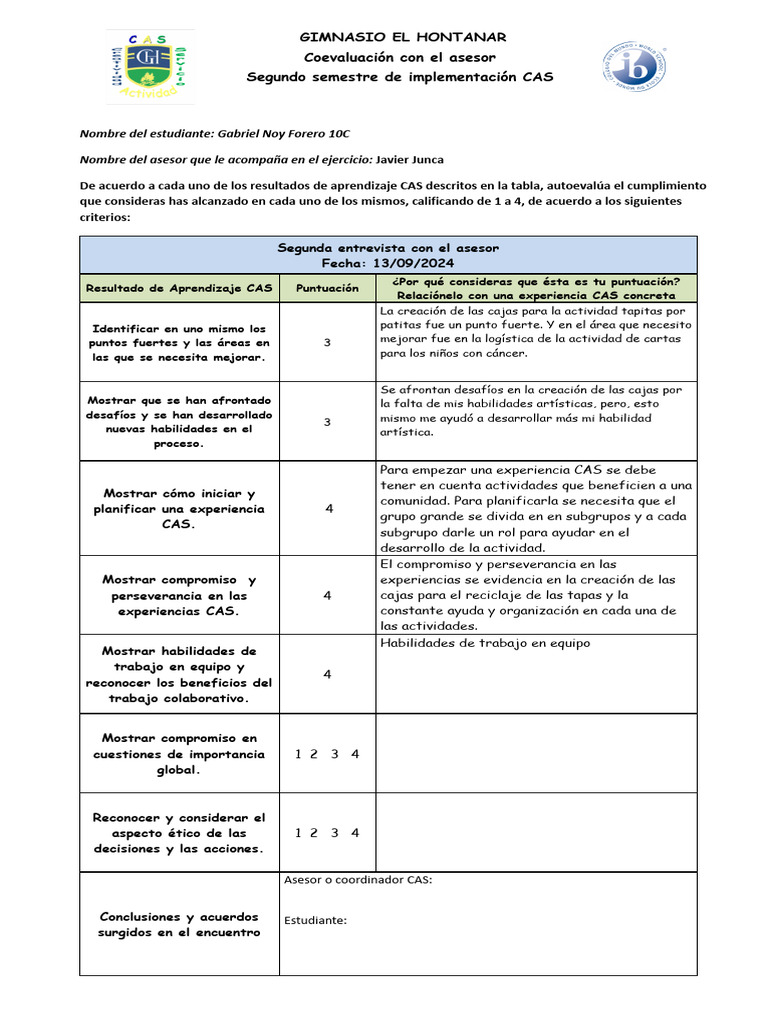 Evaluación del Programa CAS 2024 | PDF