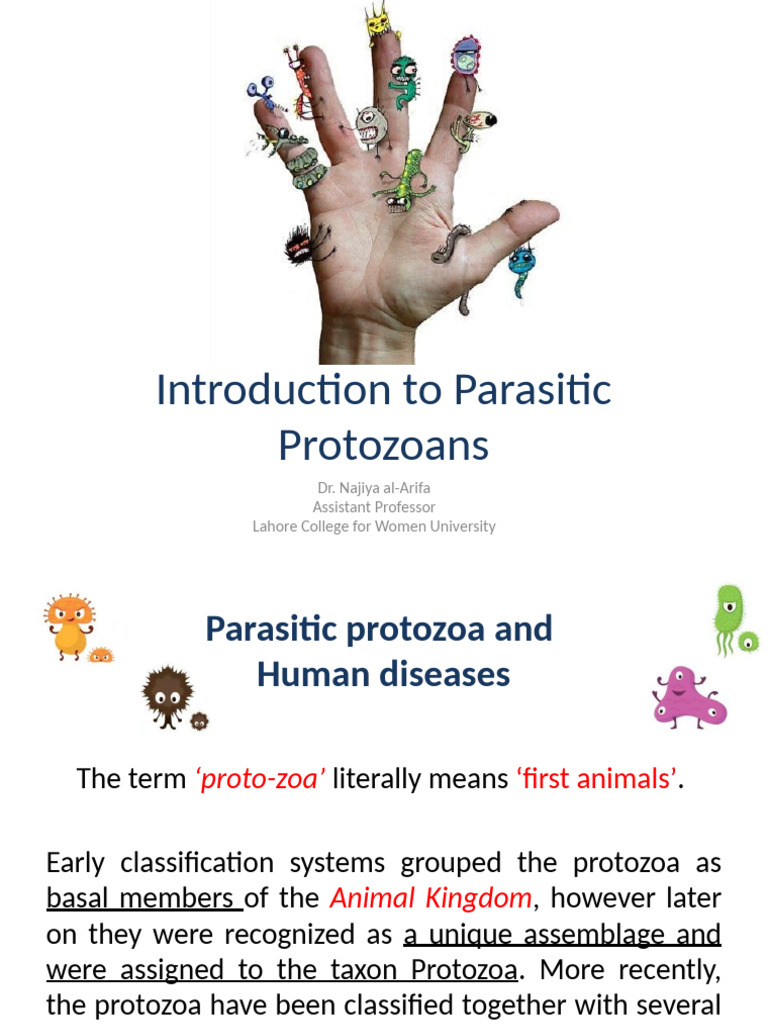 Lecture 2 - Introduction To Parasitic Protozoans | PDF | Protozoa | Biology