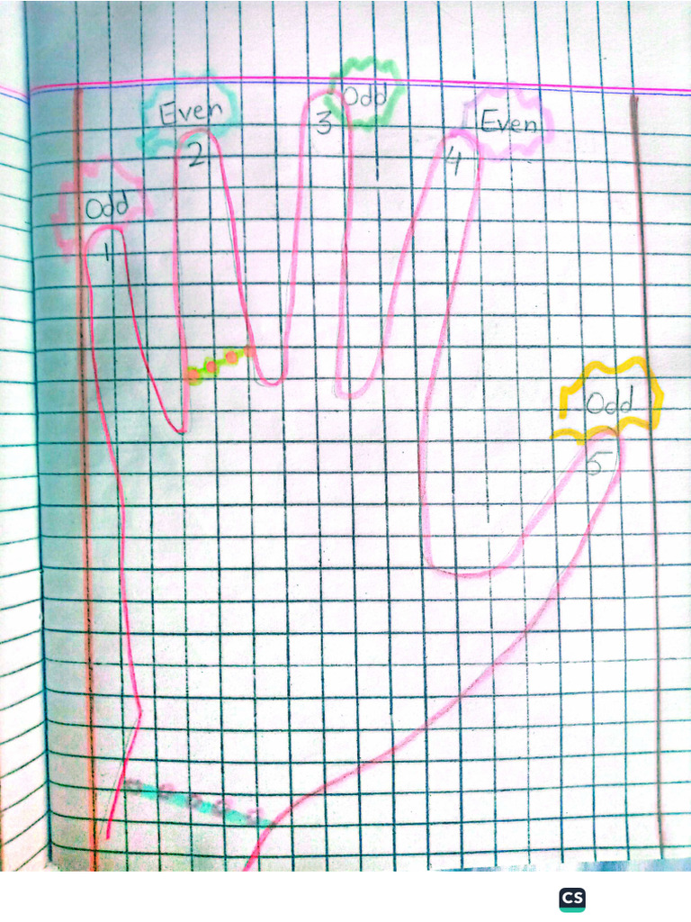 Mathematics Note Book Work | PDF