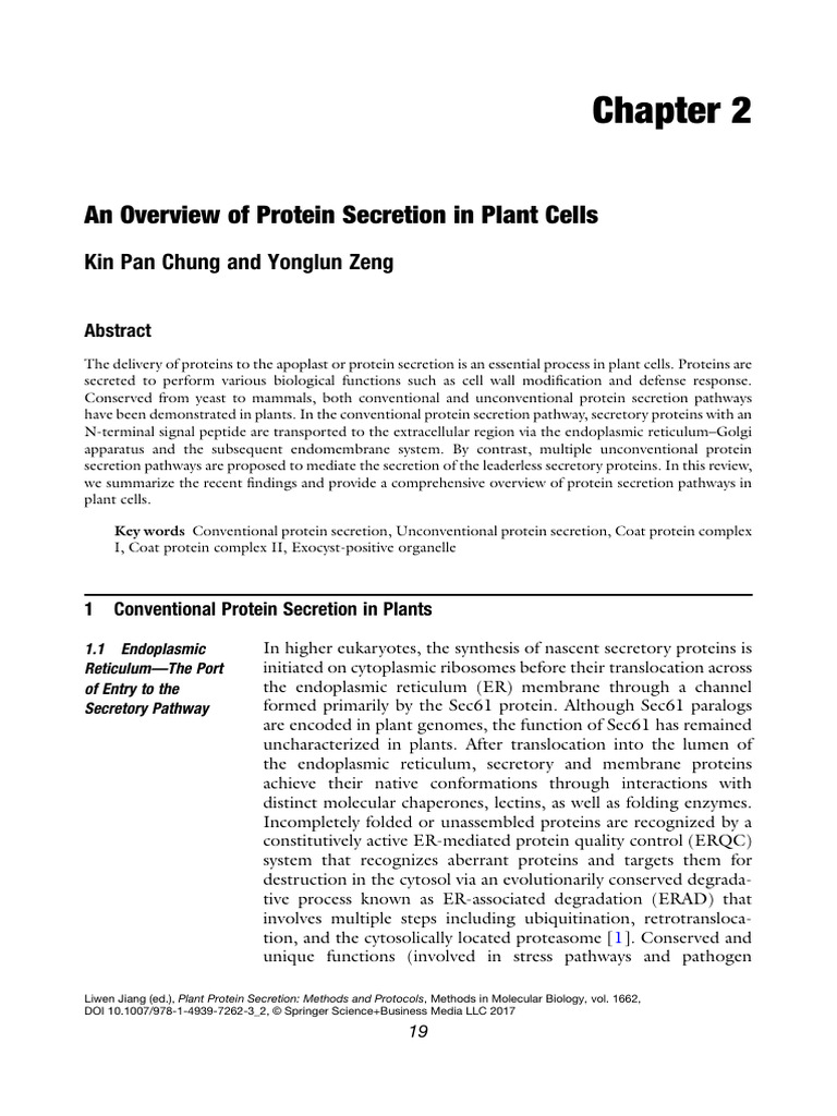 An Overview of Protein Secretion in Plant Cells | PDF | Secretion ...