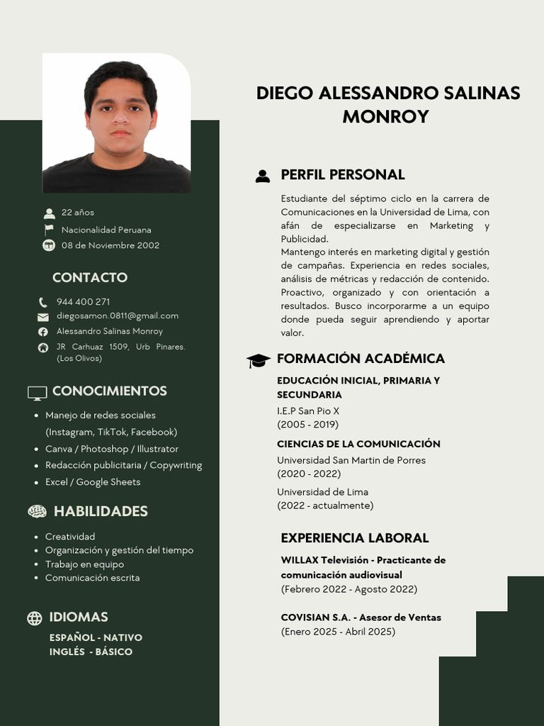 CV Alessandro Salinas | PDF