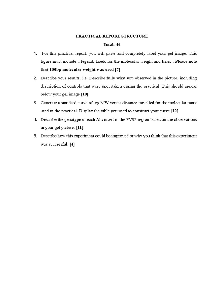 Practical 4 Report Structure | PDF