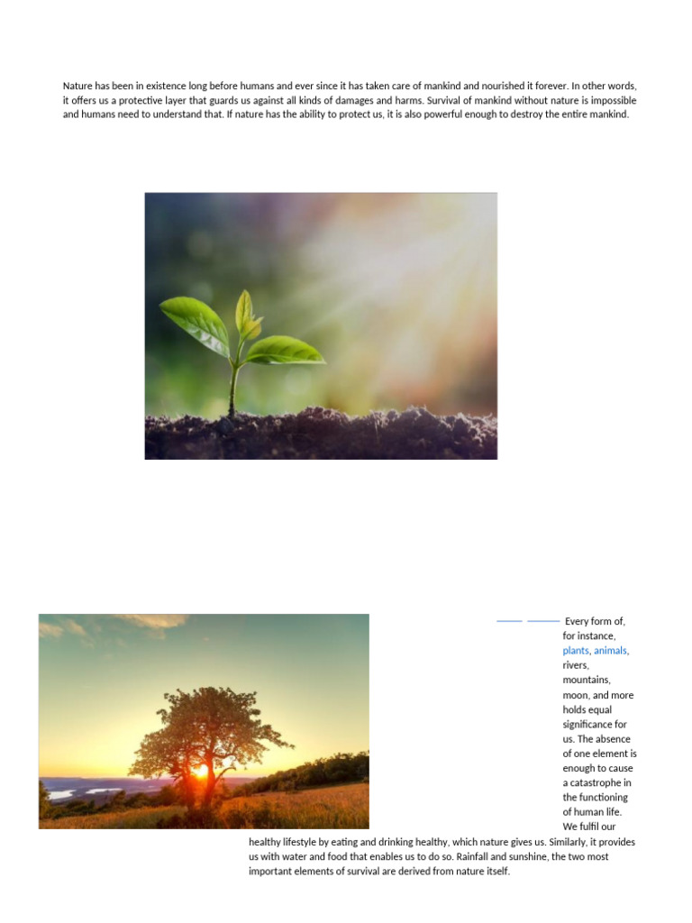 Word Phase (2) 2 | PDF