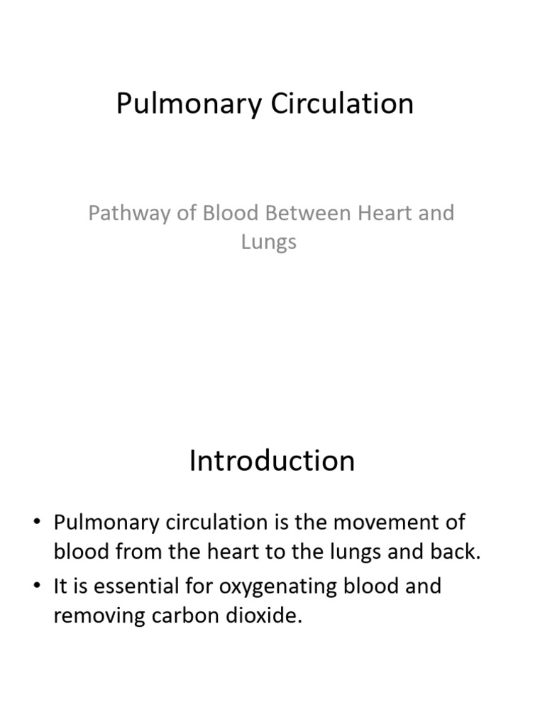 Overview of Pulmonary Circulation | PDF