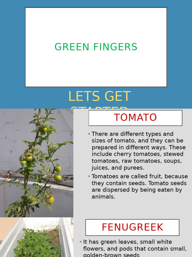 Deeba Yadav Green Finger Project | PDF