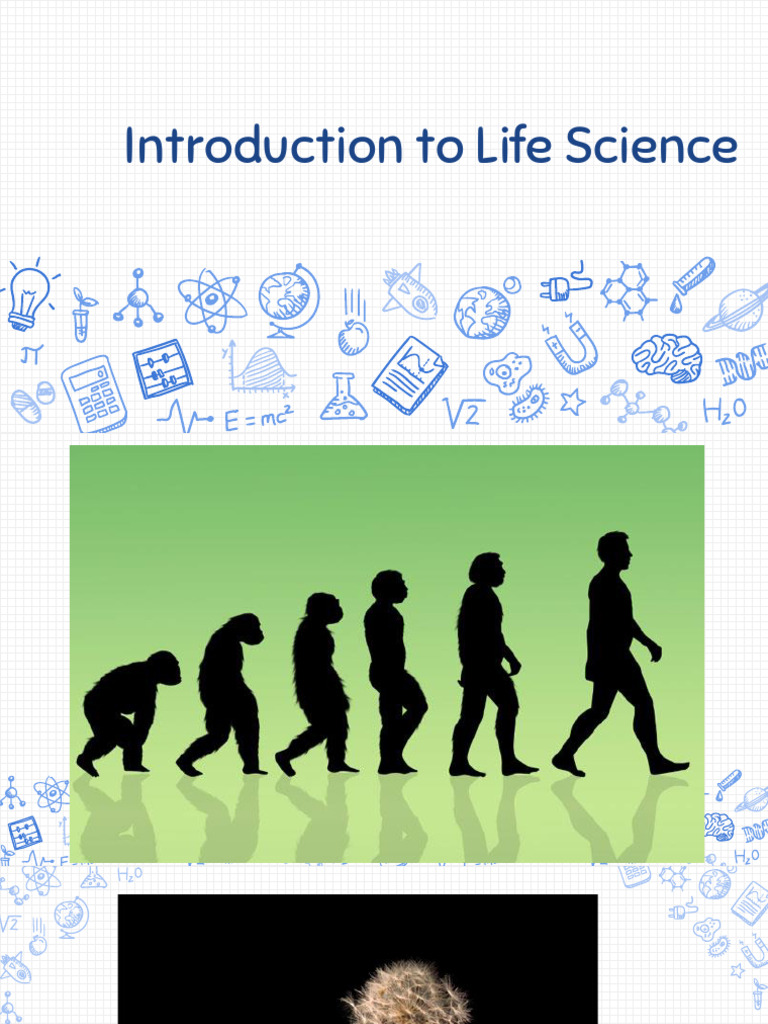 Life Science: Evolution and Experiments | PDF | Food Web | Ecosystem