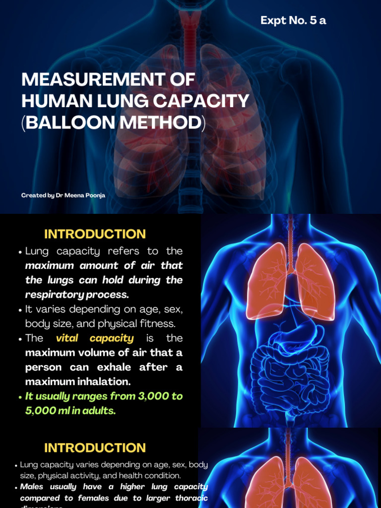 Lung Capacity - Balloon Method | PDF | Lung | Respiratory System