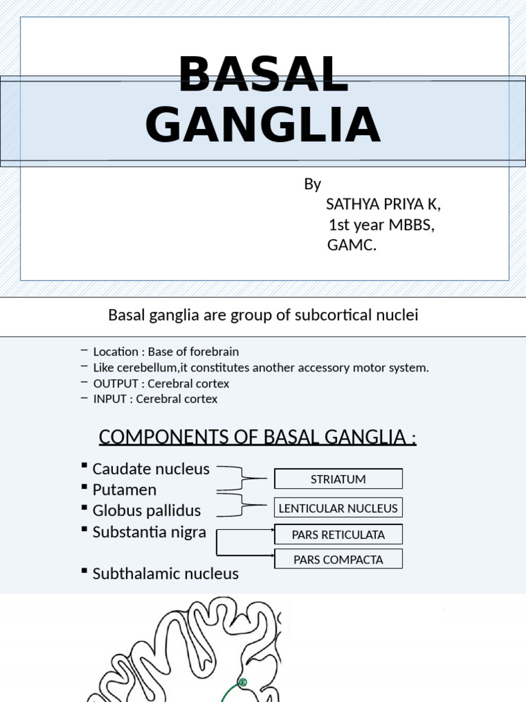 Basal Ganglia - Sathya Priya K | PDF | Basal Ganglia | Cerebrum
