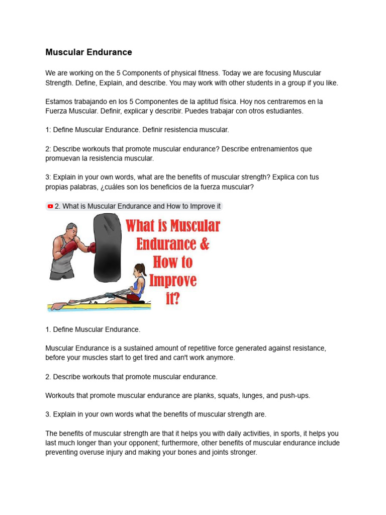Muscular Endurance | PDF