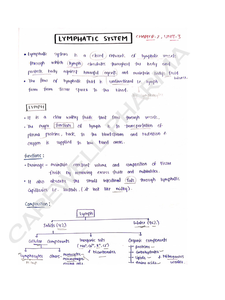 Lymphatic System Overview and Functions | PDF | Lymph | Lymphatic System