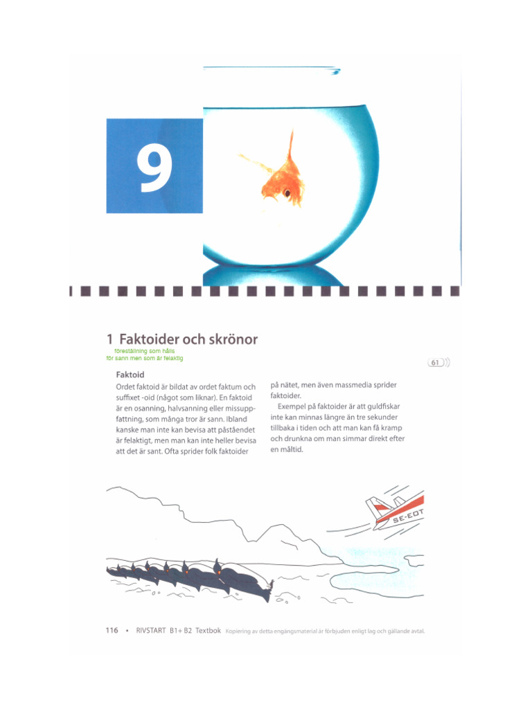 Rivstart B1 B2 TB Kap 9 | PDF