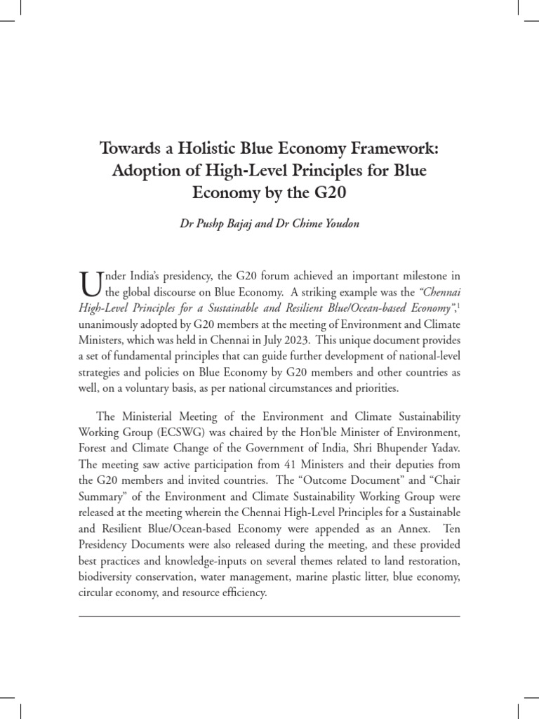 Towards A Holistic Blue Economy Framework | PDF | Sustainability | Oceans