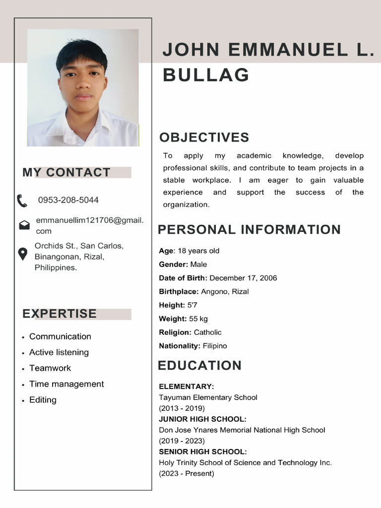 Simple Professional CV Resume | PDF