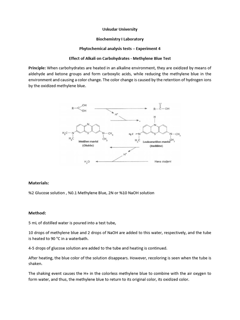 Experiment 4 Methylene Blue Test | PDF