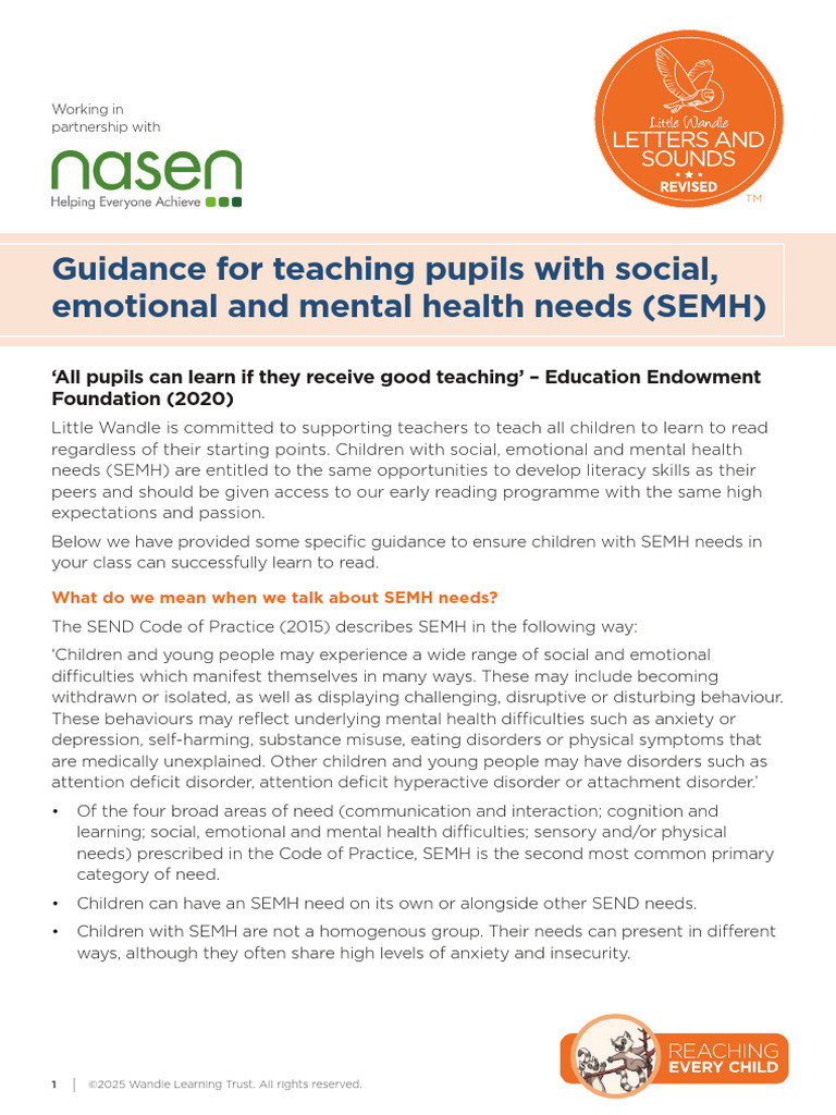LW Reaching Every Child SEMH Aug 2025 | PDF | Mental Disorder | Mental ...