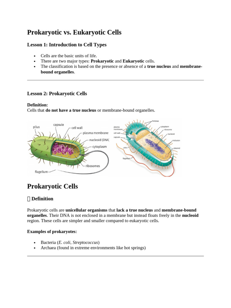 Prokaryotic vs. Eukaryotic Cells Explained | PDF | Cell (Biology ...