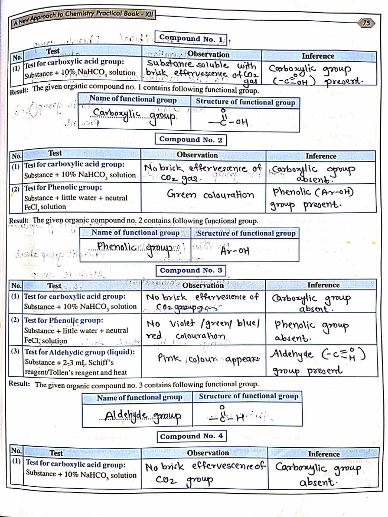 Functional Group Experiment | PDF