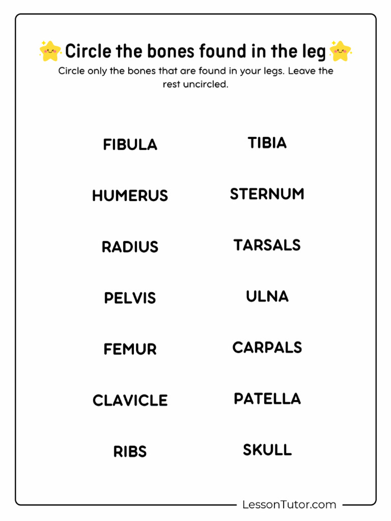 Worksheets Science Skeleton Circle-Bone-Legs | PDF