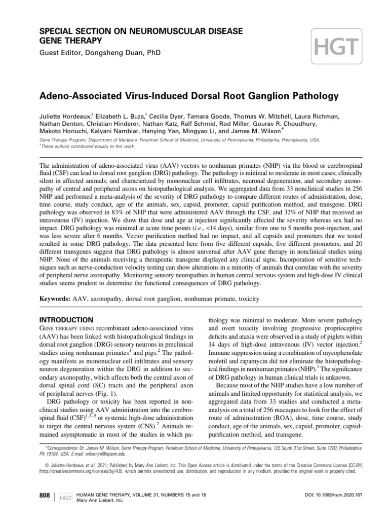 Hordeaux Et Al 2020 Adeno Associated Virus Induced Dorsal Root Ganglion ...