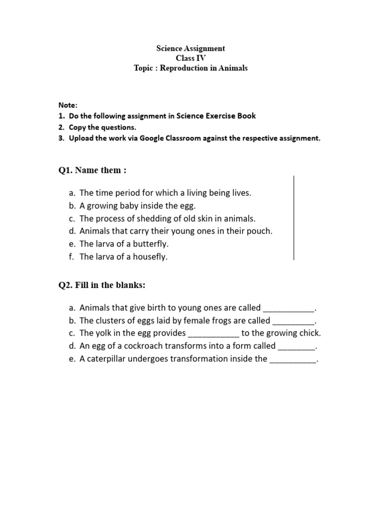 Ch-4 Reproduction in Animals - Assignment | PDF