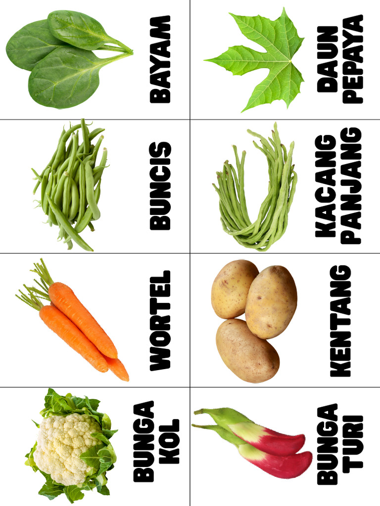 Vegetables 20251005 194847 0000 | PDF