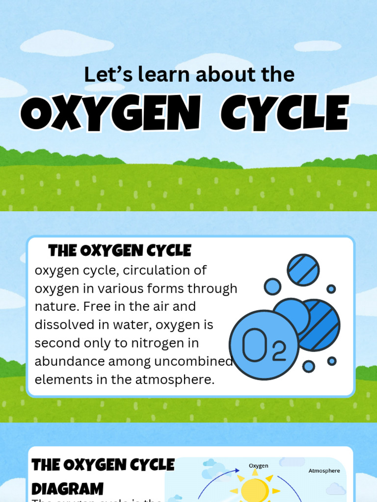 Understanding the Oxygen Cycle | PDF