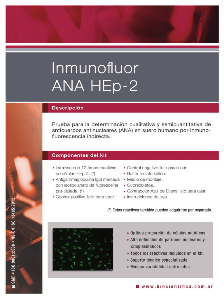Biocientifica HEp 2 | PDF