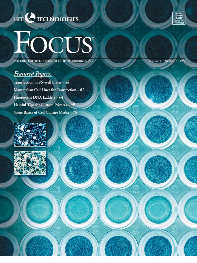 Transfection Invitrogen | PDF | Gel Electrophoresis | Reverse ...