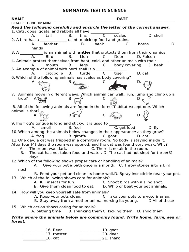 Animals Test Summative 2nd Q | PDF | Pet | Zoology