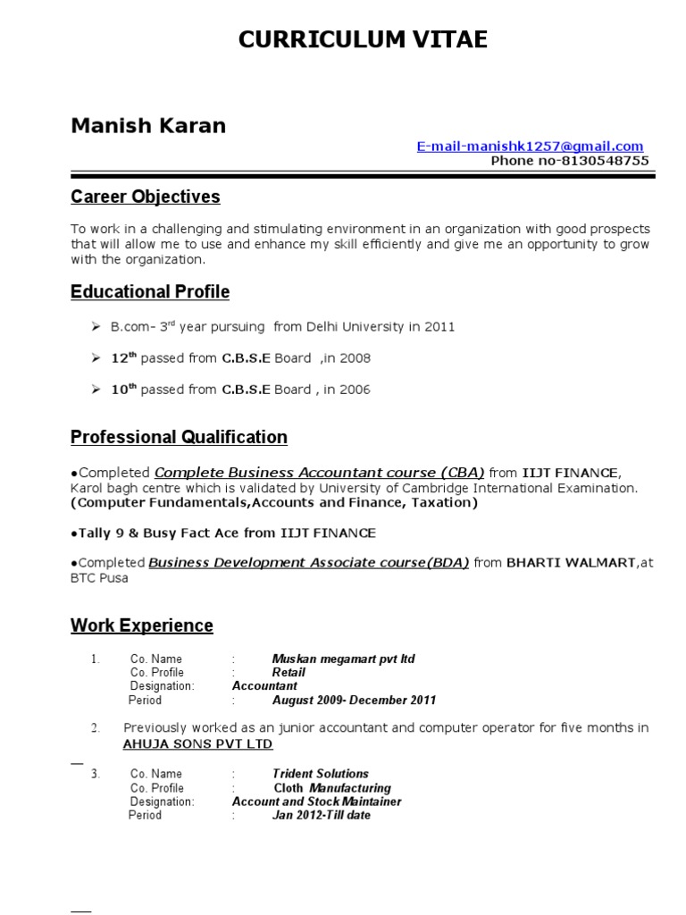 Manish Karan - Accountant CV | PDF