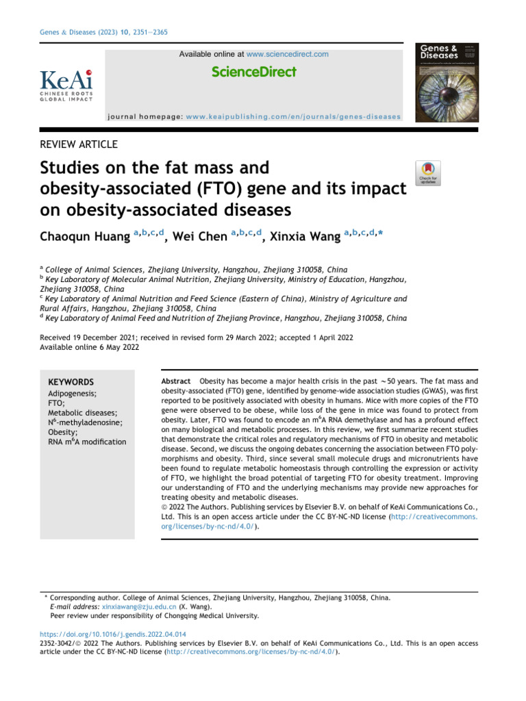 FTO Gene and Impact On Obesity | PDF | Gene Expression | Adipose Tissue