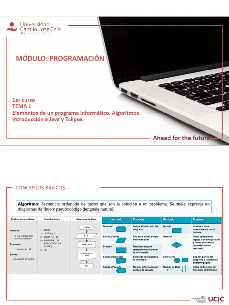 Tema 1 - Elementos de Un Programa Informatico-Algoritmos | PDF | Java (lenguaje de programación ...